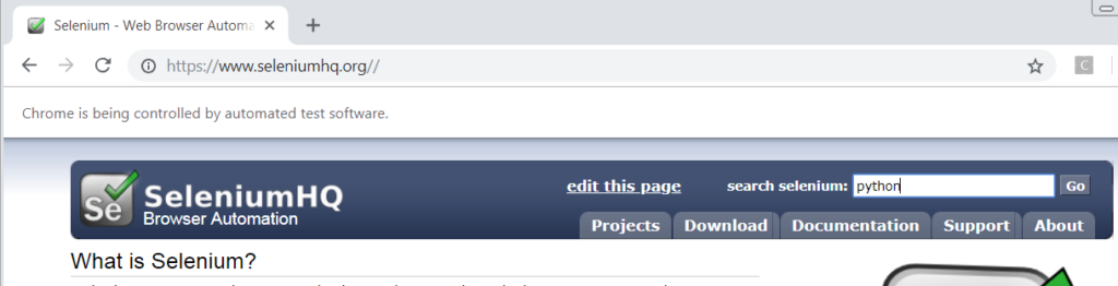 Python Browser Automation Using Selenium